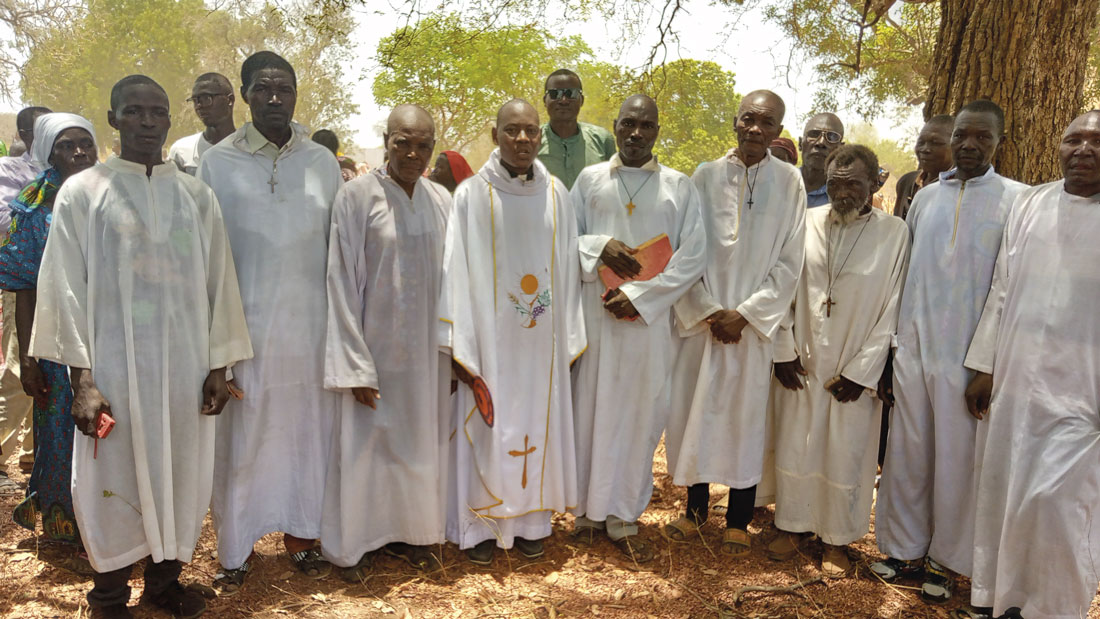 Mission Diary. The Serpent and the Birds – Comboni Missionaries Ireland